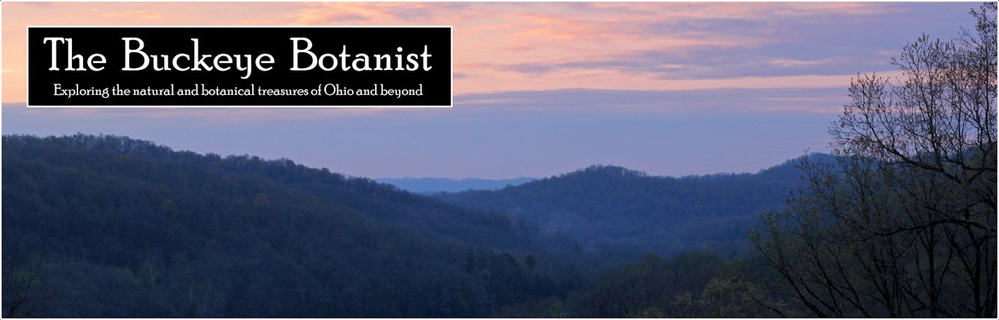 WV National Parks and Forests - WV National Wildlife Refuges