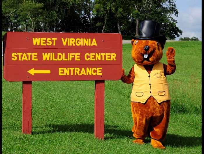 Special Places in West Virginia - MH3WV